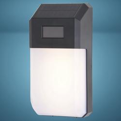 Patriot Lighting® Black Solar Powered LED Outdoor Motion Sensor ...