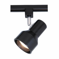 Quantus™ Step 1-Light Black Track Lighting Head at Menards®