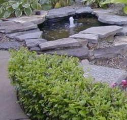 MacCourt 50-Gallon Biscayne Preformed Pond at Menards®
