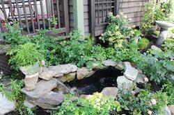 MacCourt 145-Gallon Tahiti Preformed Pond at Menards®