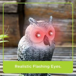 Bird Blinder Horned Owl Decoy with Flashing Eyes at Menards®