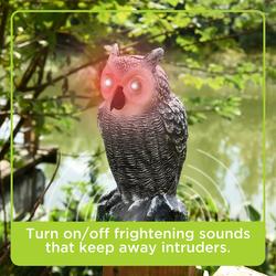Bird Blinder Horned Owl Decoy with Flashing Eyes at Menards®