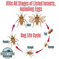 Maggie's Farm™ Ready-To-Use Beetle & Boxelder Garden Insect Killer - 24 ...