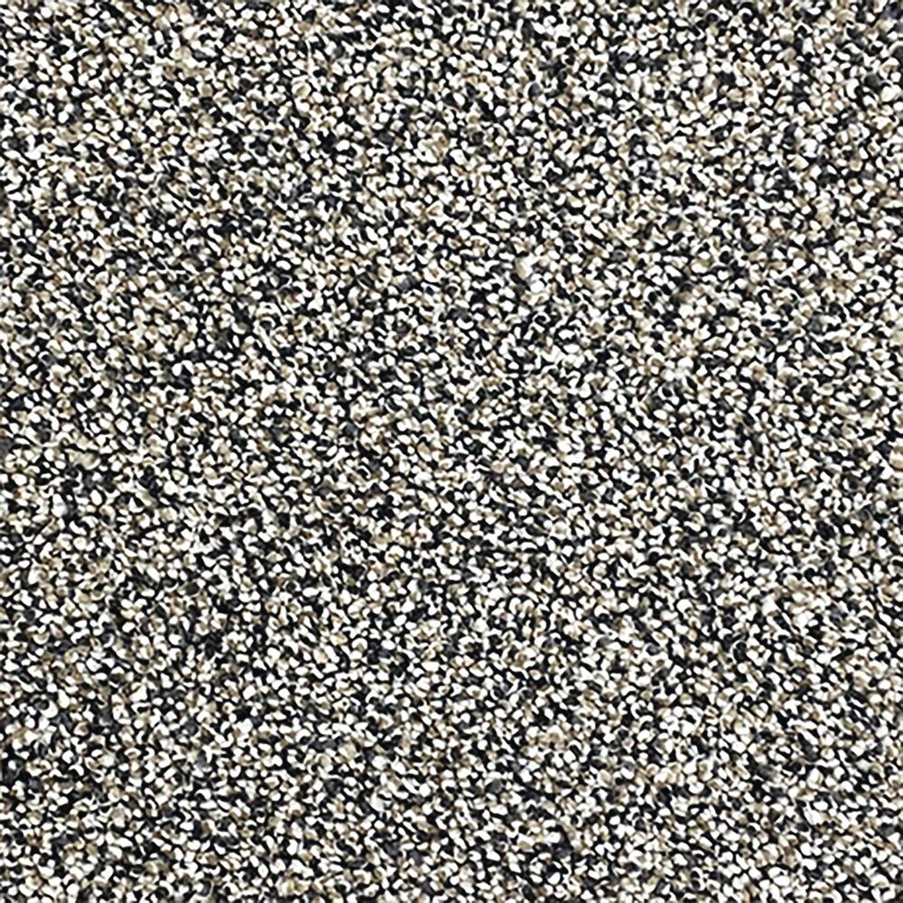 Marquis Industries Soft Dreams Morning Latte Plush Carpet 12 ft. Wide