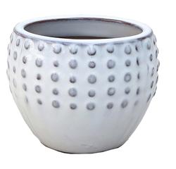 Deroma 3.5"White Nixa Dotted Mini Ceramic Planter at Menards®