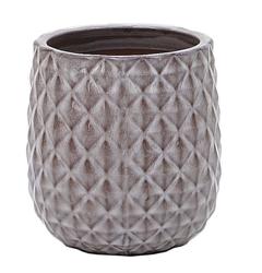 Deroma 6.7" White Rosemount Ceramic Planter at Menards®