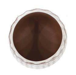 Deroma 6.7" White Rosemount Ceramic Planter at Menards®