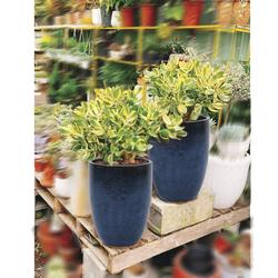 Deroma 9.8" Blue Jura Tall Ceramic Planter at Menards®
