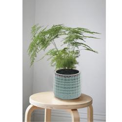 Deroma 4.4" Green Ersa Succulent Ceramic Planter at Menards®