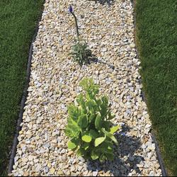 Master Mark Plastics® 20' Classic Pro Edging at Menards®