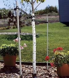 Master Mark Plastics® 2" x 24" Spiral Tree Guard Trunk Protector - 2 ...