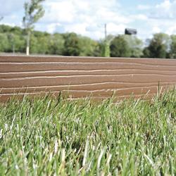 Master Mark Plastics® 40' Brown Terrace Board Landscape Edging at Menards®