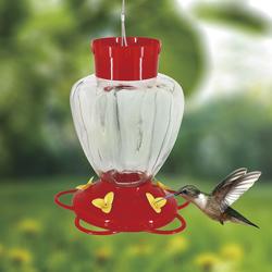 Centurion Glass Hummingbird Feeder - 30 oz at Menards®