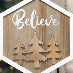 Enchanted Forest® 8-1/2" "Believe" Wood Sign at Menards®