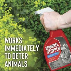 Messinas® Squirrel Stopper® Ready-to-Use Repellent Spray - 32 oz. at ...