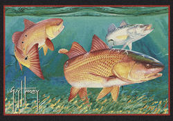 Milliken™ Guy Harvey Redfish 5'4" x 7'8" Area Rug at Menards®
