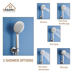 CASAINC Brushed Nickel 10" Rain Showerhead with 3-Spray Handheld ...