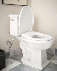 Moen® 2-Series Standard Non-Electronic White Elongated Bidet Toilet ...