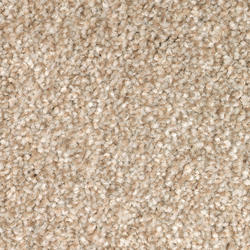 Mohawk® True Appeal Beadwork Plush Carpet 12 ft. Wide at Menards®