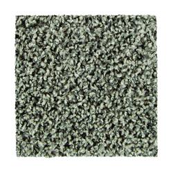 Menards carpet store
