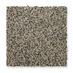 Mohawk® Tail Waggin Swish Frieze Carpet 12 ft. Wide at Menards®