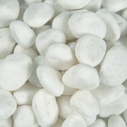 MS International Bright White Natural Pebble at Menards®