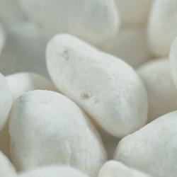 MS International Bright White Natural Pebble at Menards®
