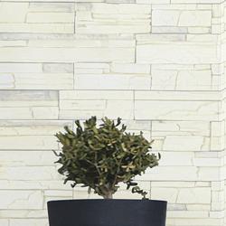 MSI Gem Rock Vernon Manufactured Stone Veneer Outside Corner (4 sq. ft ...