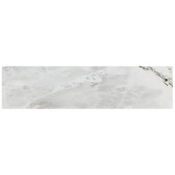 MS International Hornbill Glossy 4 x 16 Ceramic Floor & Wall Tile at ...