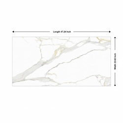 MS International Elmont Roma 24 x 48 Matte Porcelain Floor and Wall ...