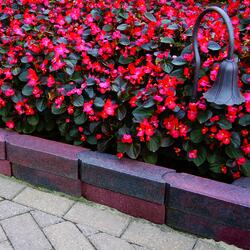 3-3/8 x 11-3/4 x 3-3/8 Red/Black Interloc Edger Block at Menards®