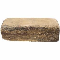 5 x 17 Sienna Tumbled Catalina Pillar Block at Menards®