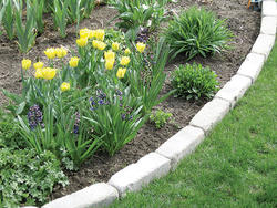 3-1/2 x 12 Tan Tumbled Belgian Edger Block at Menards®