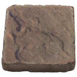 9 x 9 Autumn Blend Tumbled Belgian Reversible Paver at Menards®