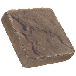 9 x 9 Autumn Blend Tumbled Belgian Reversible Paver at Menards®