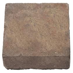 6 x 6 Autumn Blend Tumbled Belgian Reversible Paver at Menards®