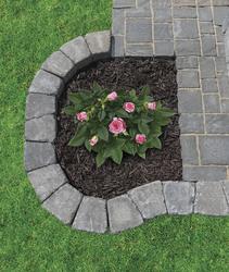 3-1/2 x 7 Quarry Gray Tumbled Belgian Wedge Wall Block at Menards®