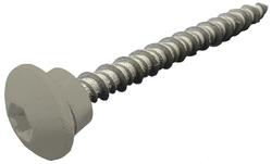 Pro-Grip #10 x 2-1/2" Star Drive Beige Residential Roof Screw - 1 lb ...