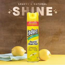 Endust Lemon Multi-Surface Dusting and Cleaning Spray - 12.5 oz. at ...