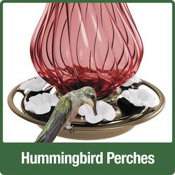 Nature's Way® Crim Pitcher Hummingbird Feeder - 32 oz. at Menards®
