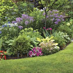 Raindrip® Watering Kit for Flowers, Shrubs & Trees at Menards®