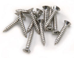 NDS® Stainless Steel Screws - 40 Per Bag at Menards®
