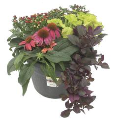 12" Fall Combo Planter at Menards®