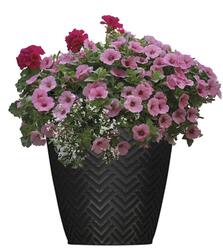 12" Burpee Planter - Assorted Varieties at Menards®