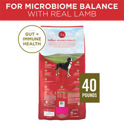 Purina ONE® SmartBlend® Lamb & Rice Dry Dog Food - 40 lb. at Menards®