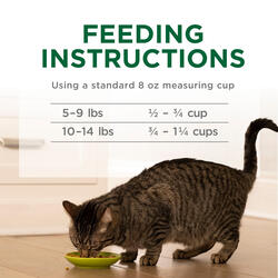 Cat Chow® Indoor Cat Food - 15 lbs at Menards®