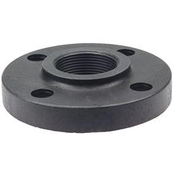 NIBCO® Chemtrol® 4" 1-Piece FIP Solid Sch 80 Polypropylene Flange at ...