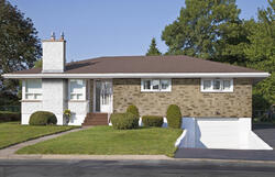 Novik® 20-1/4" x 45" Fossil Artisan Cut Stone Polymer Siding Panel at ...