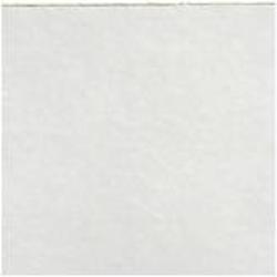 10' Pearl PVC FRP Inside Corner Moulding at Menards®