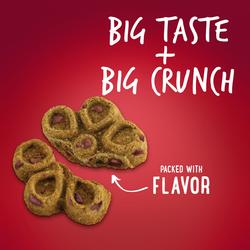 Fruitables® Biggies™ Crispy Bacon & Apple Dog Treats - 16 oz at Menards®